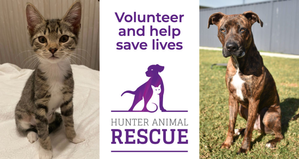 Event Coordinator | Hunter Animal Rescue