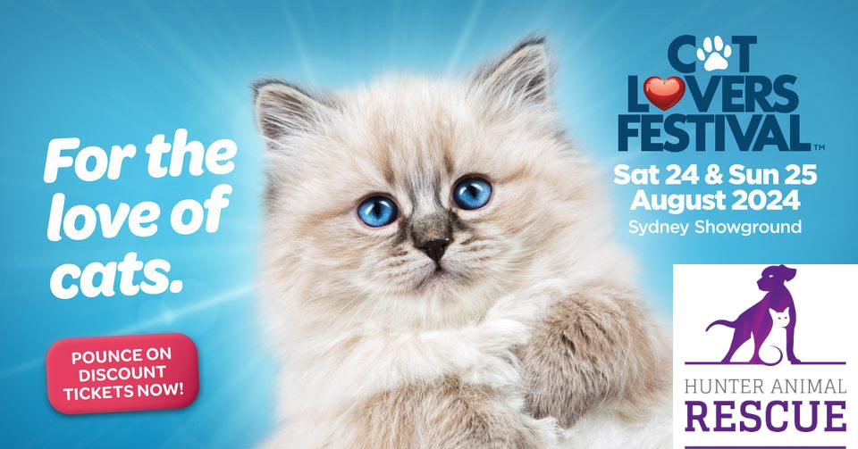 Home | Hunter Animal Rescue